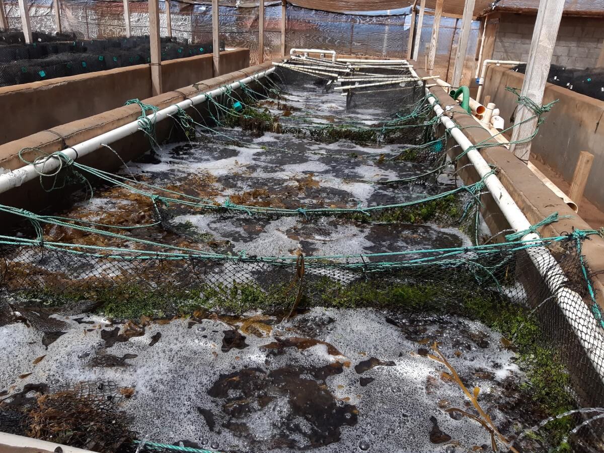 MBET Aquafarming - Marine Biology and Environmental Technologies, LLC